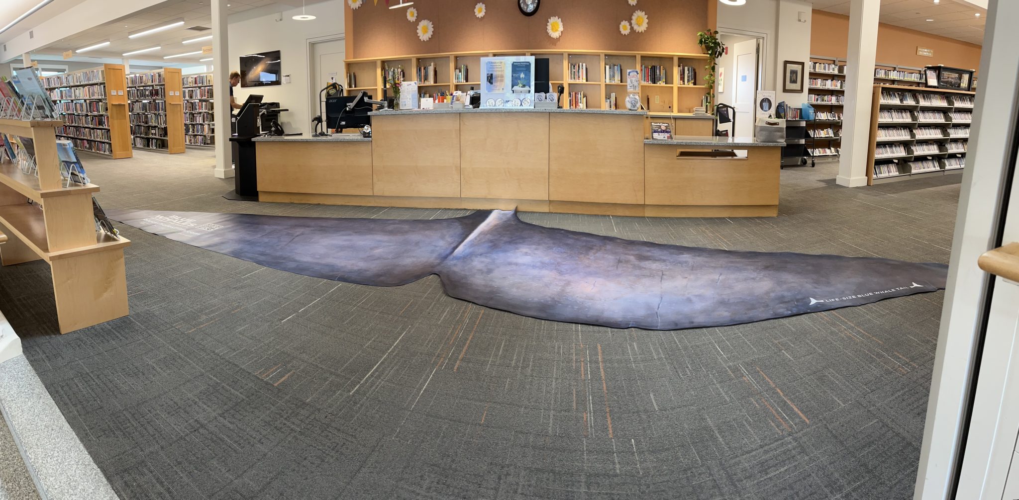 Blue Whales Project - THOMAS MEMORIAL LIBRARY